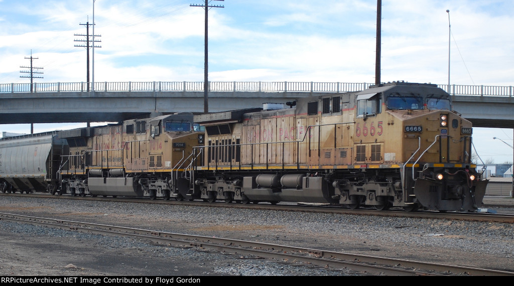 UP 6665 & UP 7014 lead westbound grain train